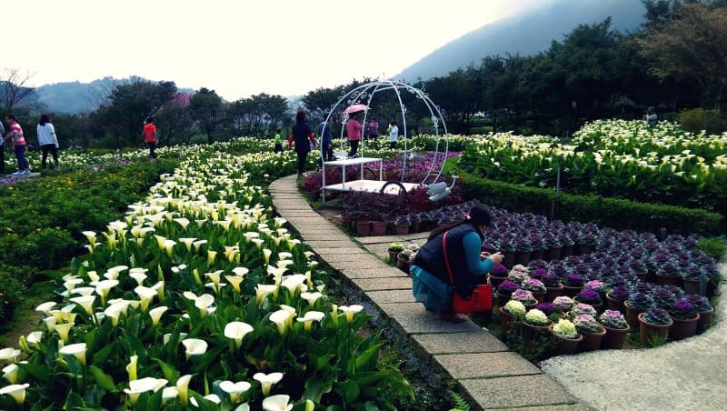 Taiwan in the Spring - Sights and Attractions | Expedia Travel Blog HK